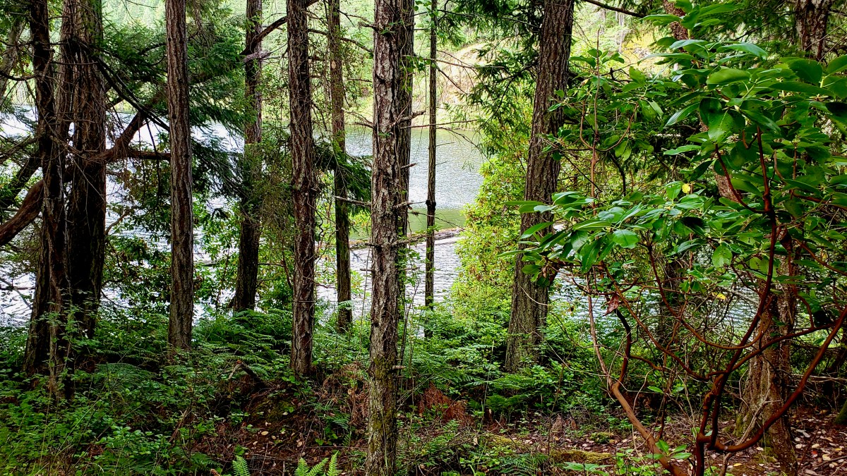 Day 2: Enos Lake – Retirement Reflections