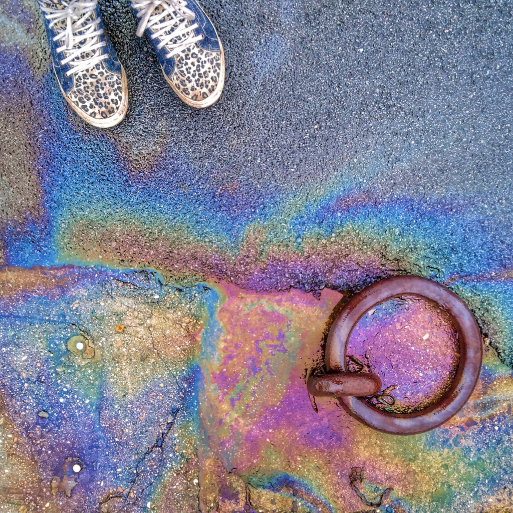 Bloggers with a View – Path – Retirement Reflections