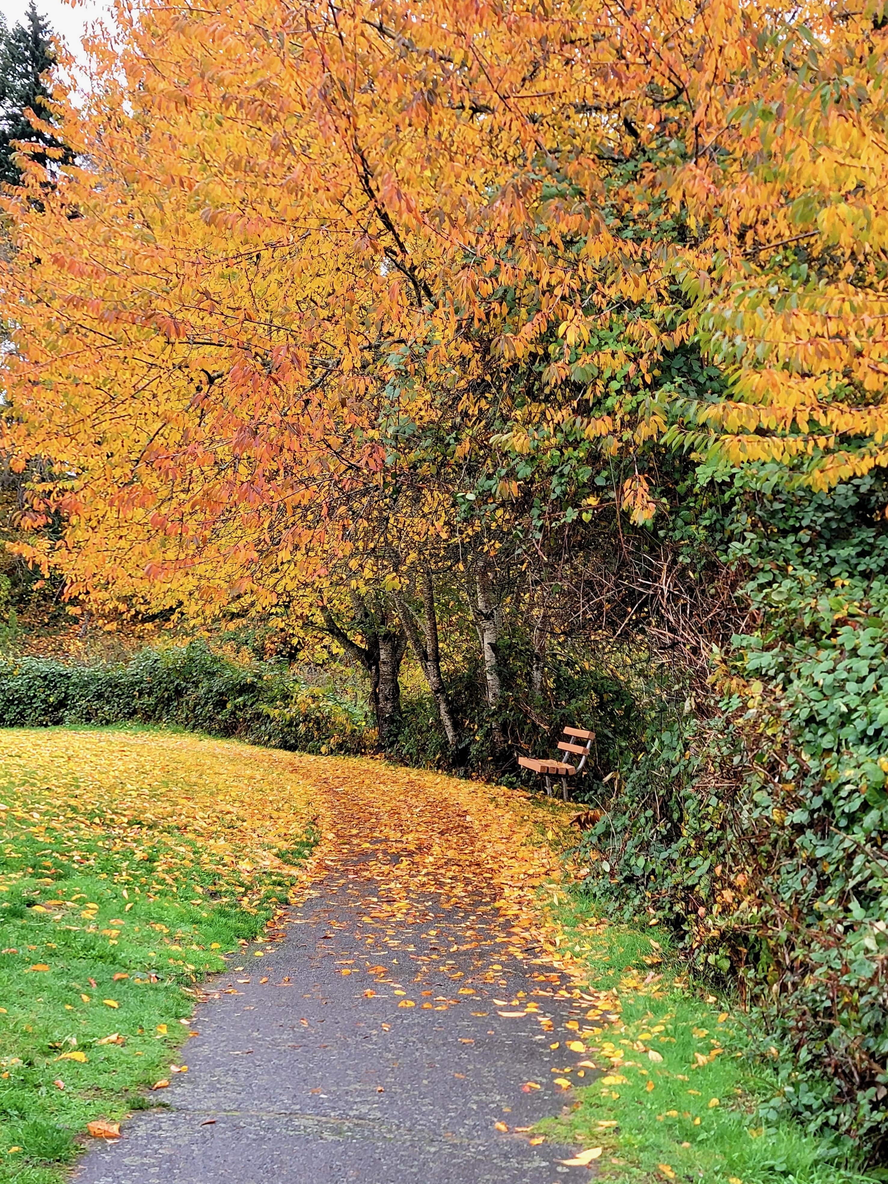 Retirement Reflections – What I Wish I Knew Before I Retired