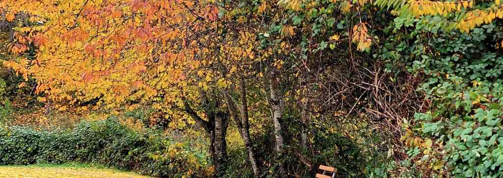 Retirement Reflections – What I Wish I Knew Before I Retired